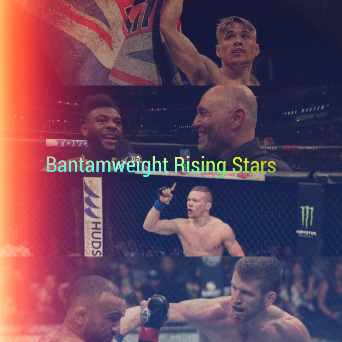 UFC Future Champions of the Bantamweight Division – Billy's MMA Blog