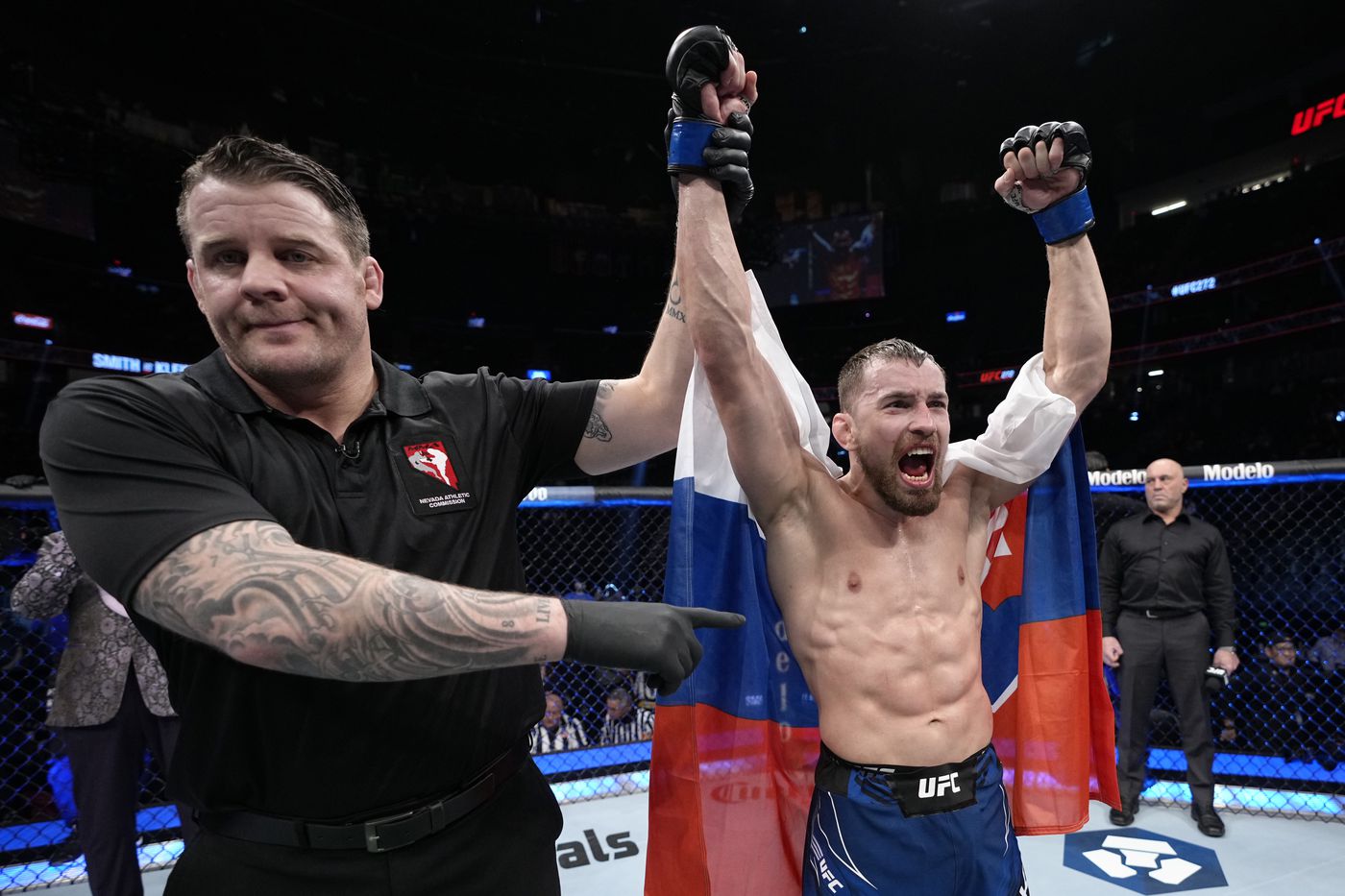 Billy's MMA Blog – Fighting is in our DNA